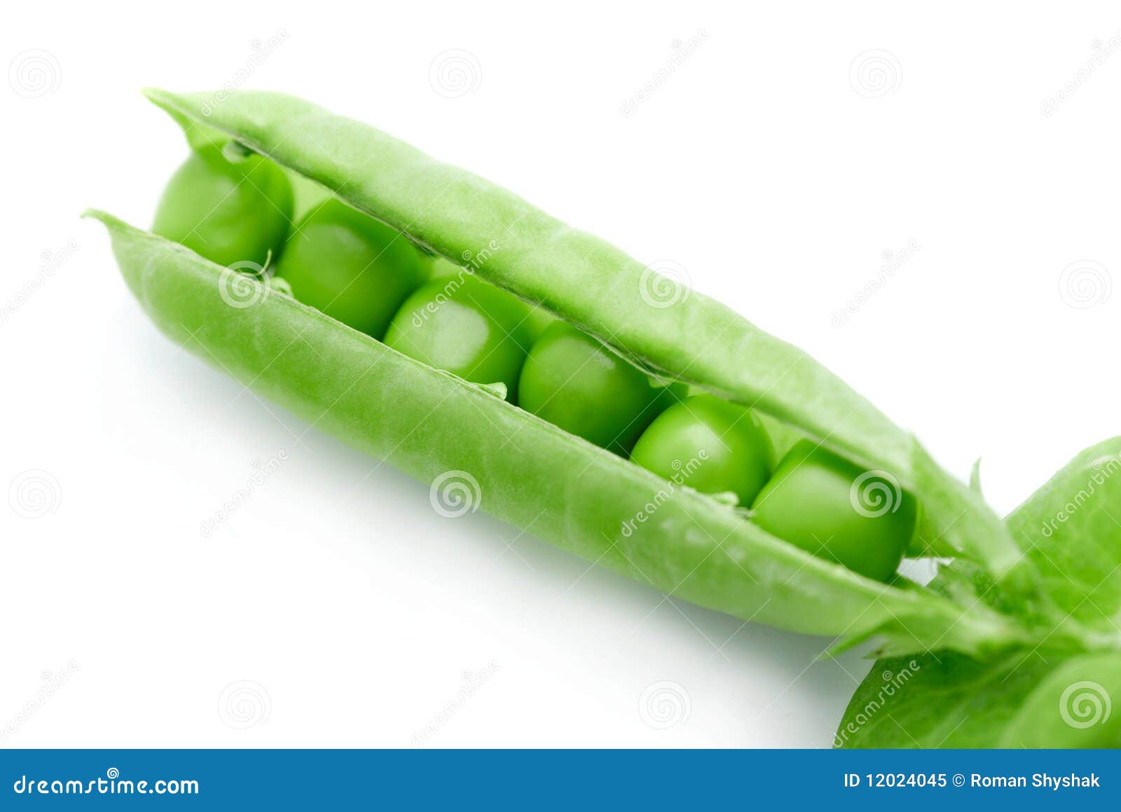 Pea Pod stock image. Image of organic, nature, lifestyle - 12024045