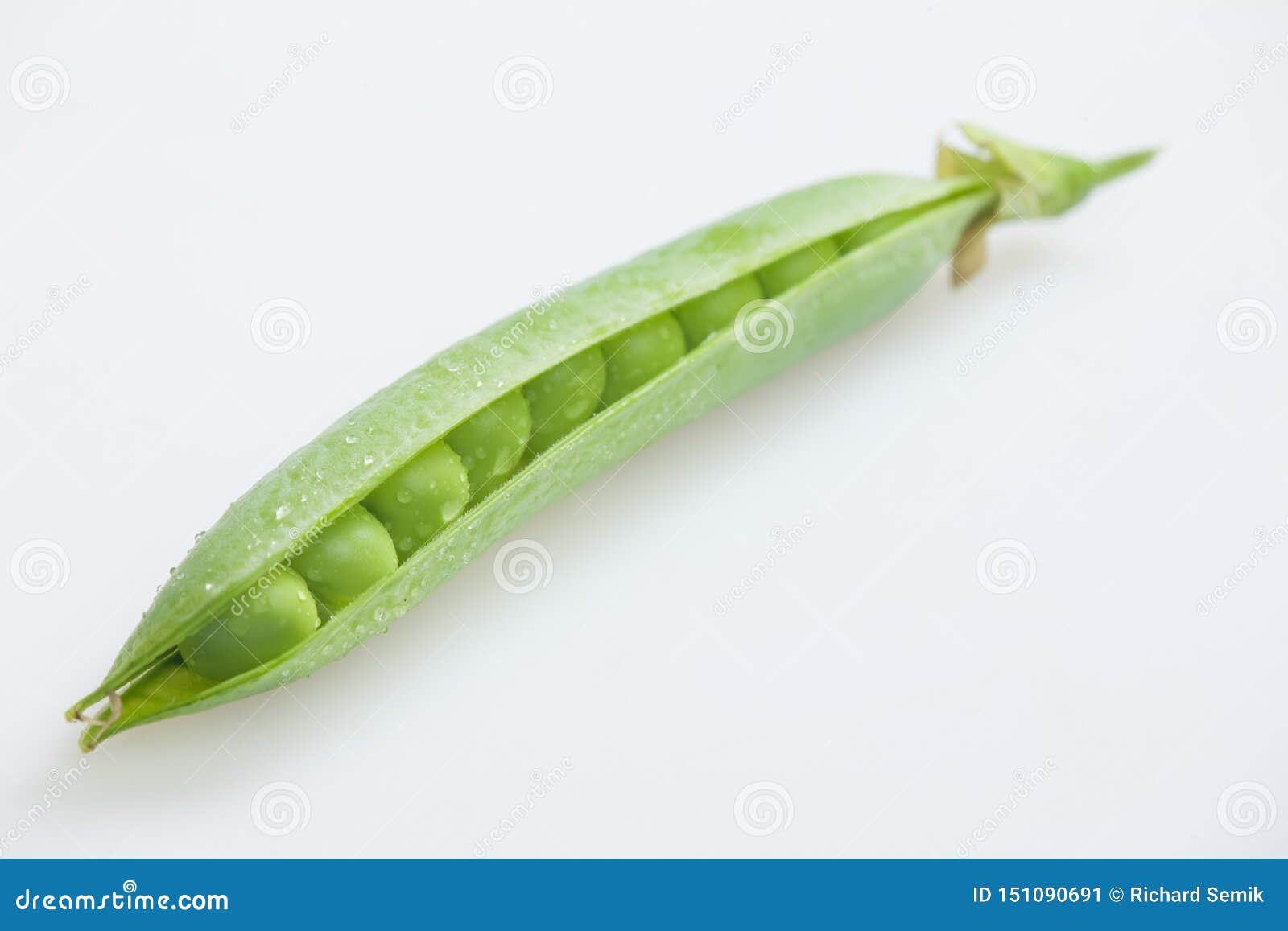Pea pod stock image. Image of inside, legumen, interior - 151090691