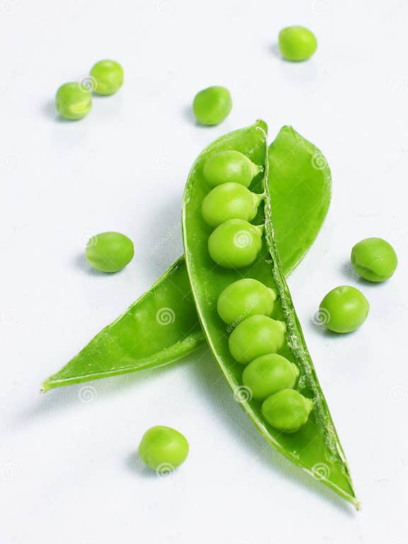 Pea Pod stock image. Image of sugar, snap, legume, healthy - 5556351
