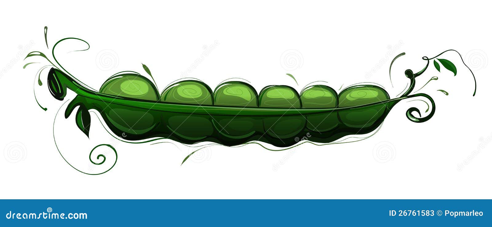 Pea Pod Illustration stock illustration. Illustration of color - 26761583