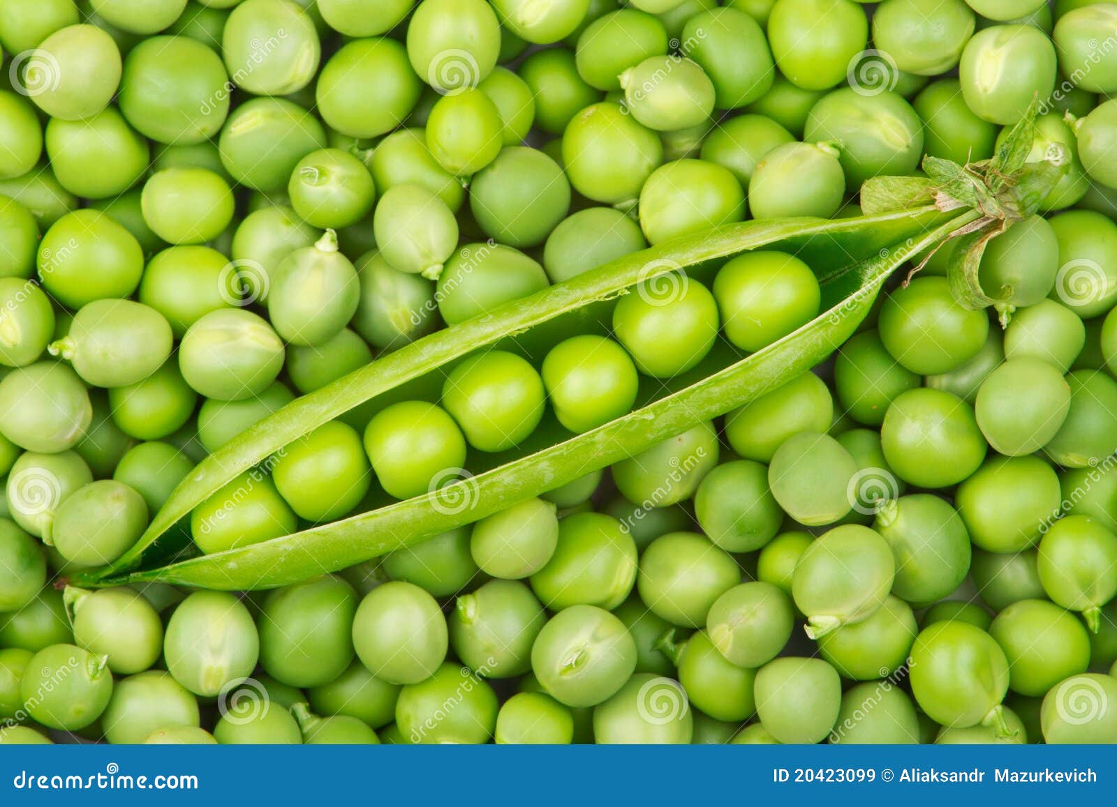 Pea Pod on a Pea Grains Pile Stock Image - Image of pattern, bean: 20423099