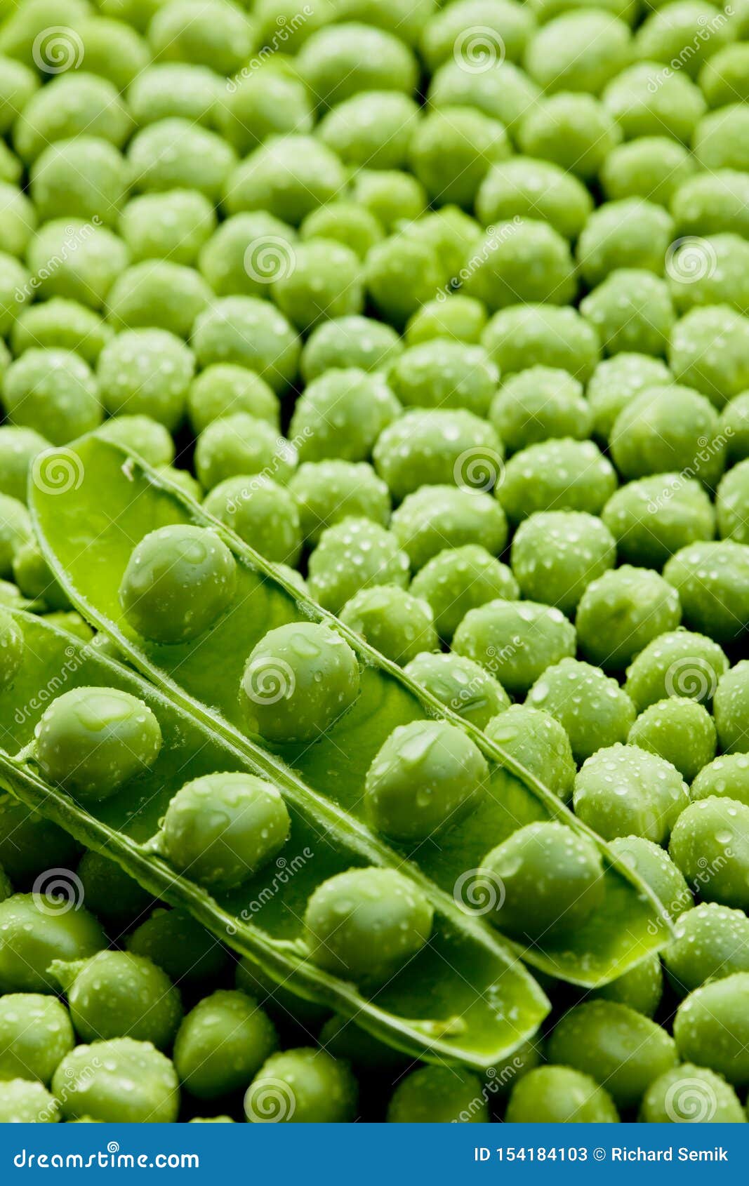 Pea pod with peas stock image. Image of close, legumes - 154184103