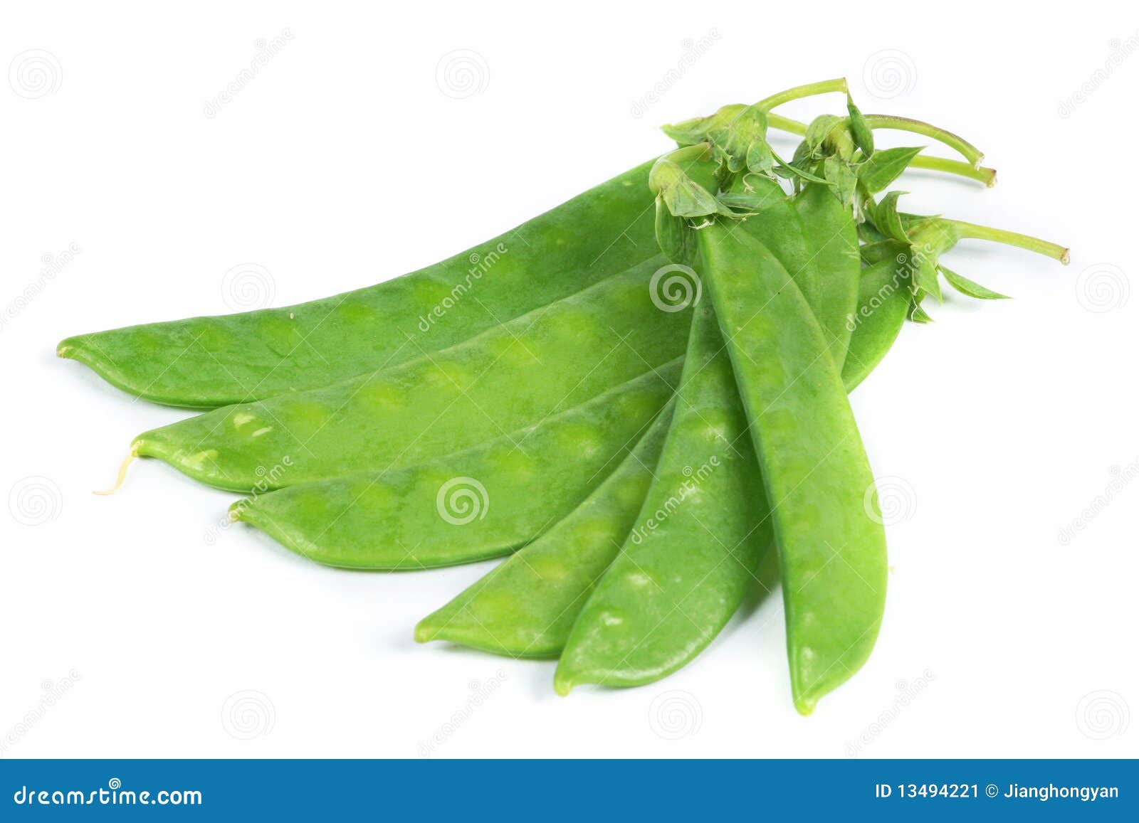 Pea pods stock image. Image of nature, isolated, organic - 13494221