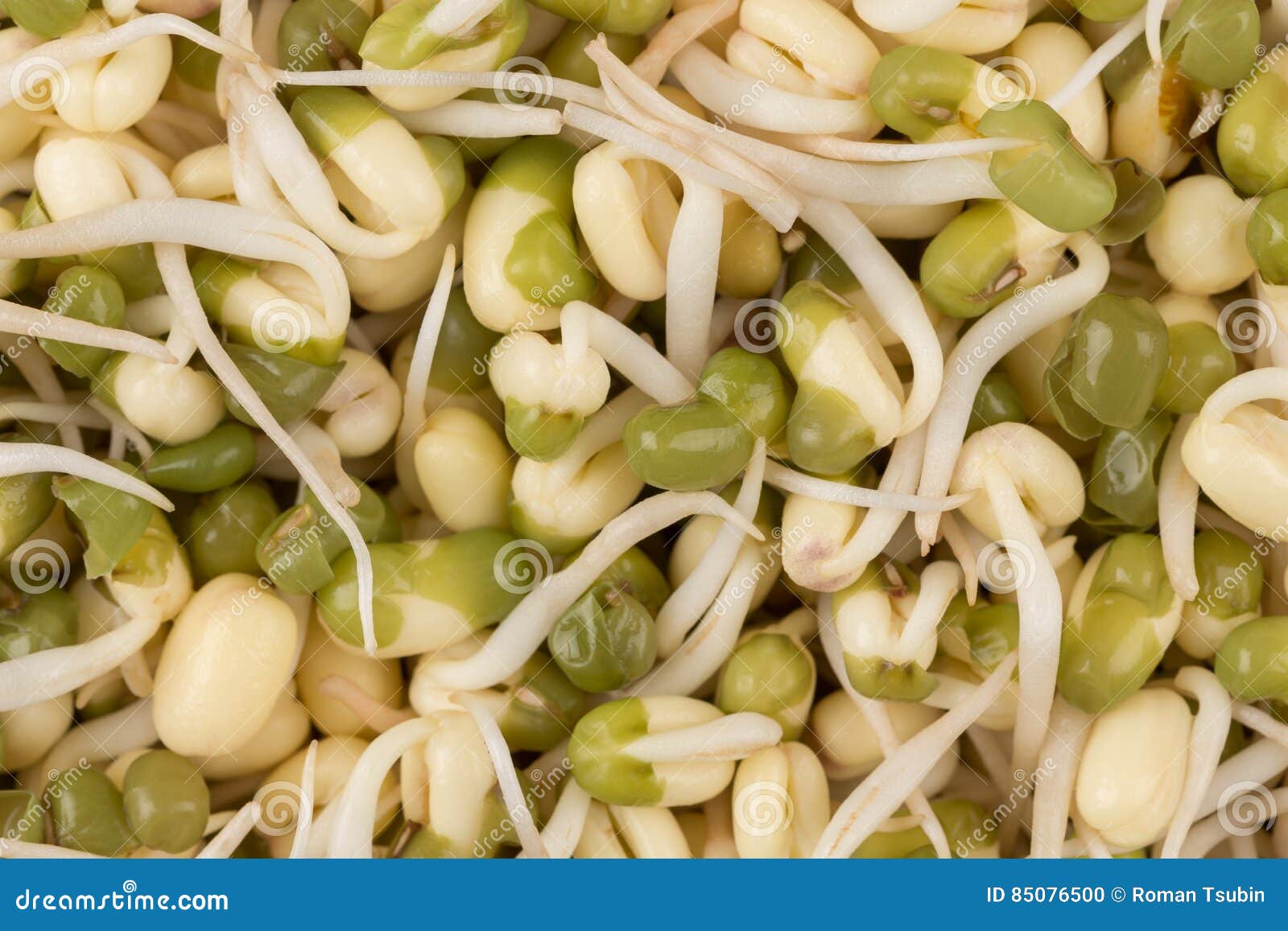 Pea Seeds with Sprouts Close Up Stock Photo - Image of cook, assortment ...