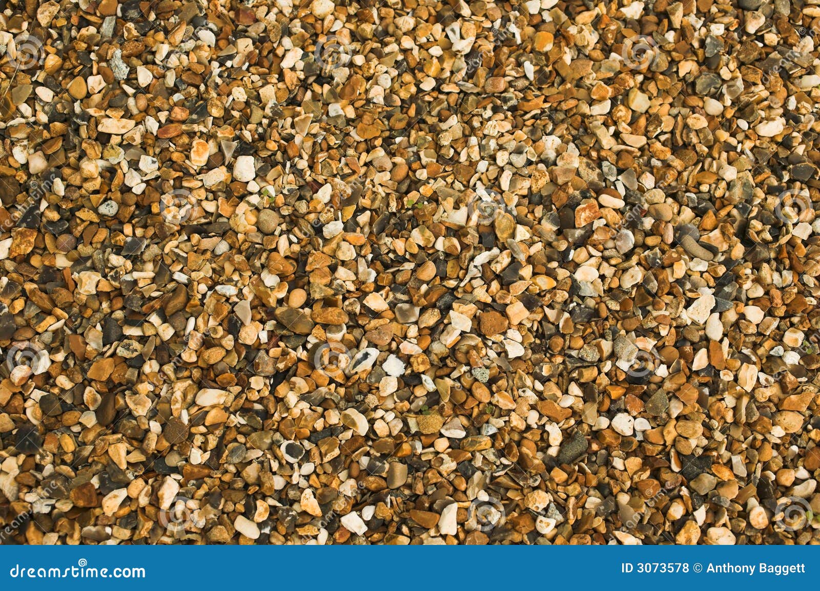 Pea Shingle Gravel stock photo. Image of mixture, rock - 3073578