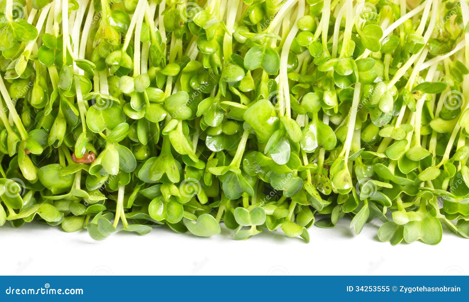 Pea Sprouts Vegetables Frame. Stock Image - Image of botanical, asian ...