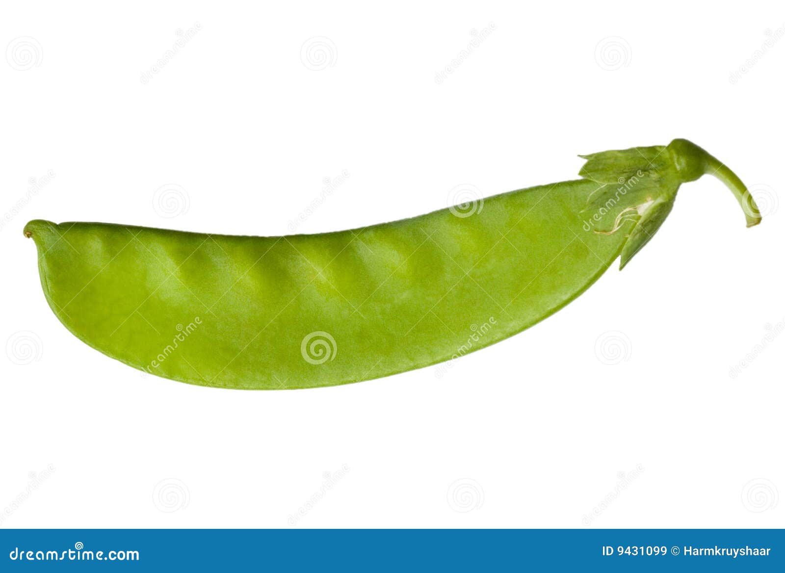 Pea Vegetable Isolated on White Stock Image - Image of close, isolated ...