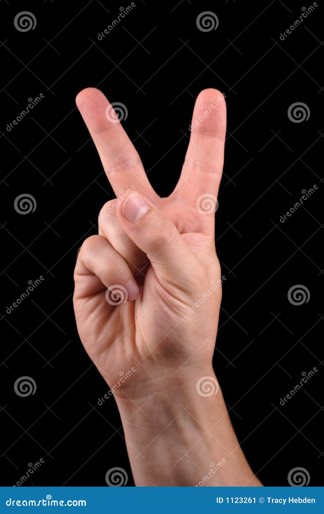 Peace stock image. Image of gesture, triumph, confident - 1123261