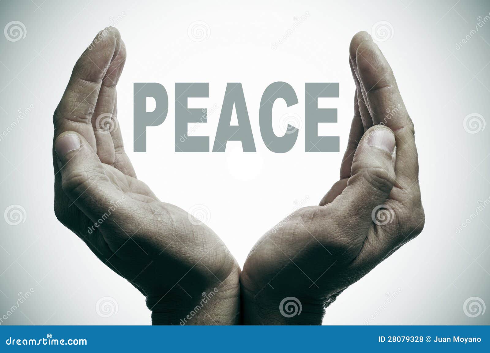 Peace stock photo. Image of blackandwhite, lifestyle - 28079328