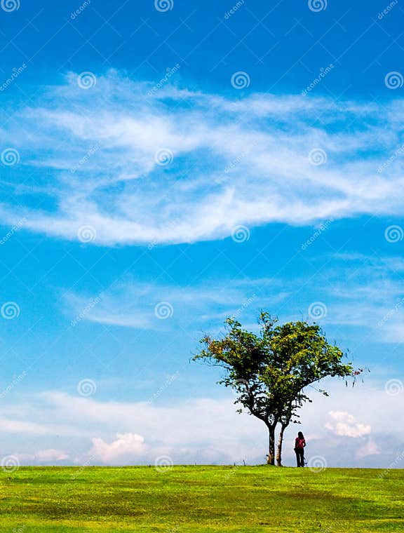 Peace stock photo. Image of beautiful, tranquility, beauty - 3344258