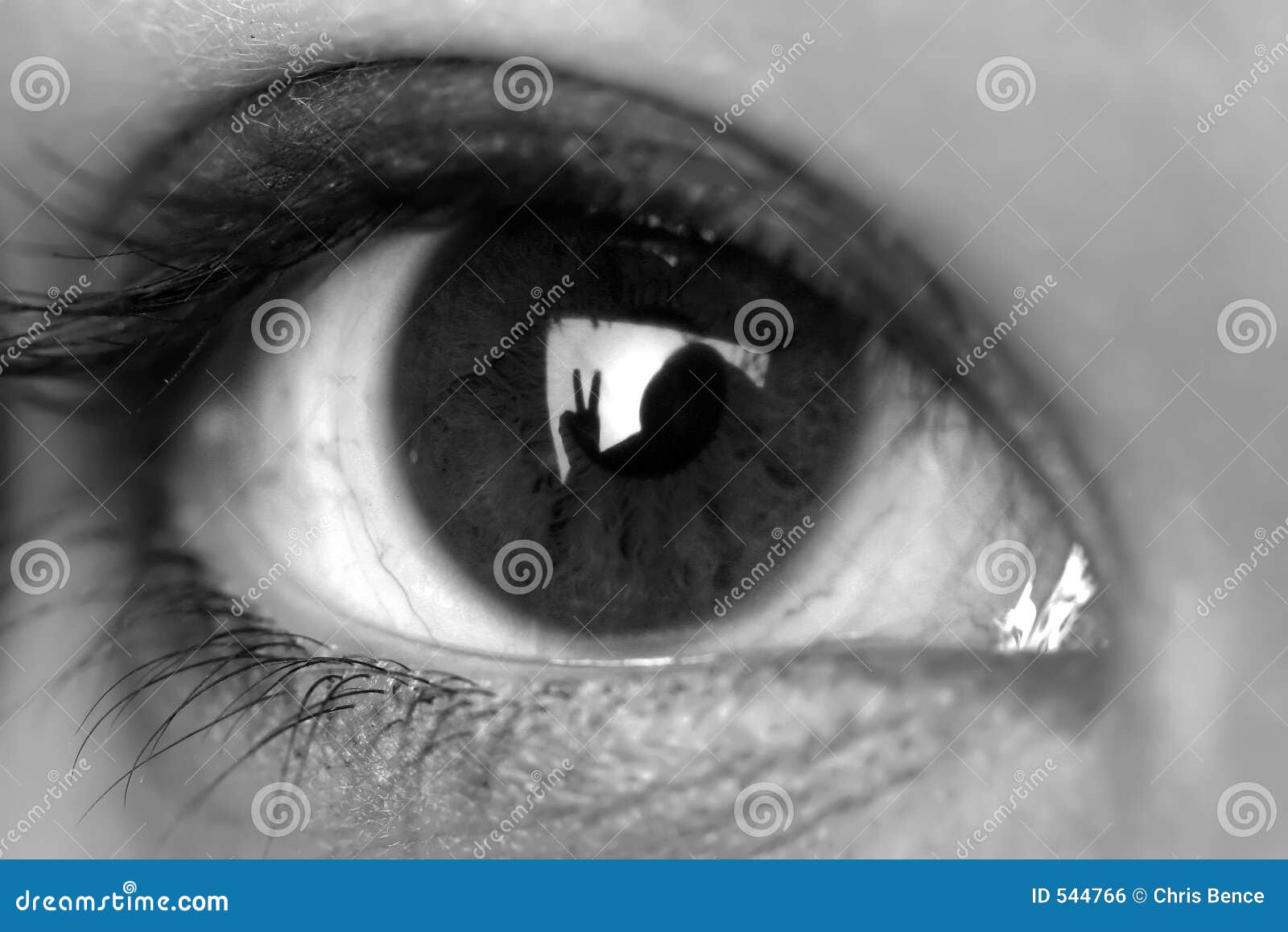 Peace stock photo. Image of closeup, reflection, detail - 544766