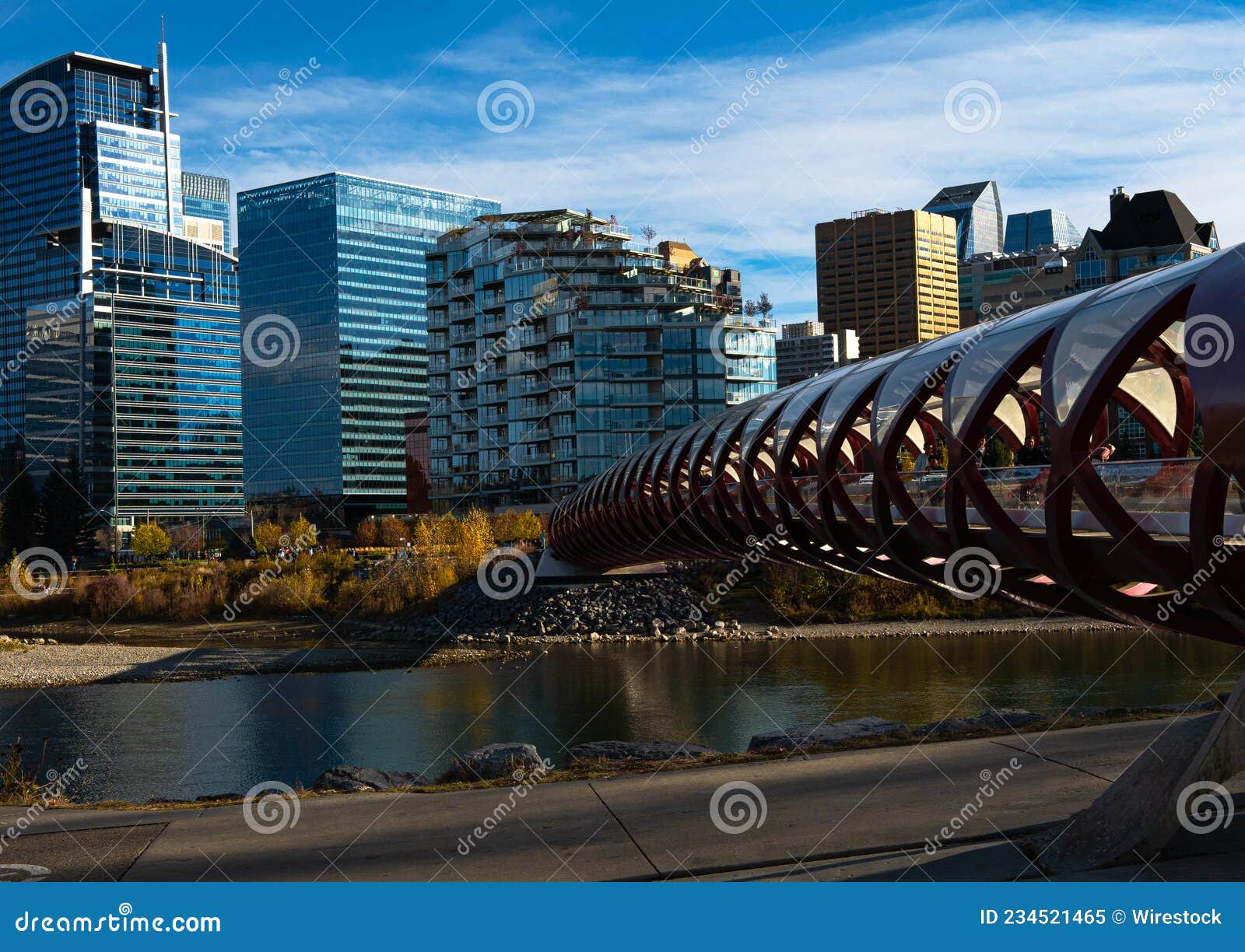 Peace Bridge Over the Bow River and Linking To the Downtown Core of ...