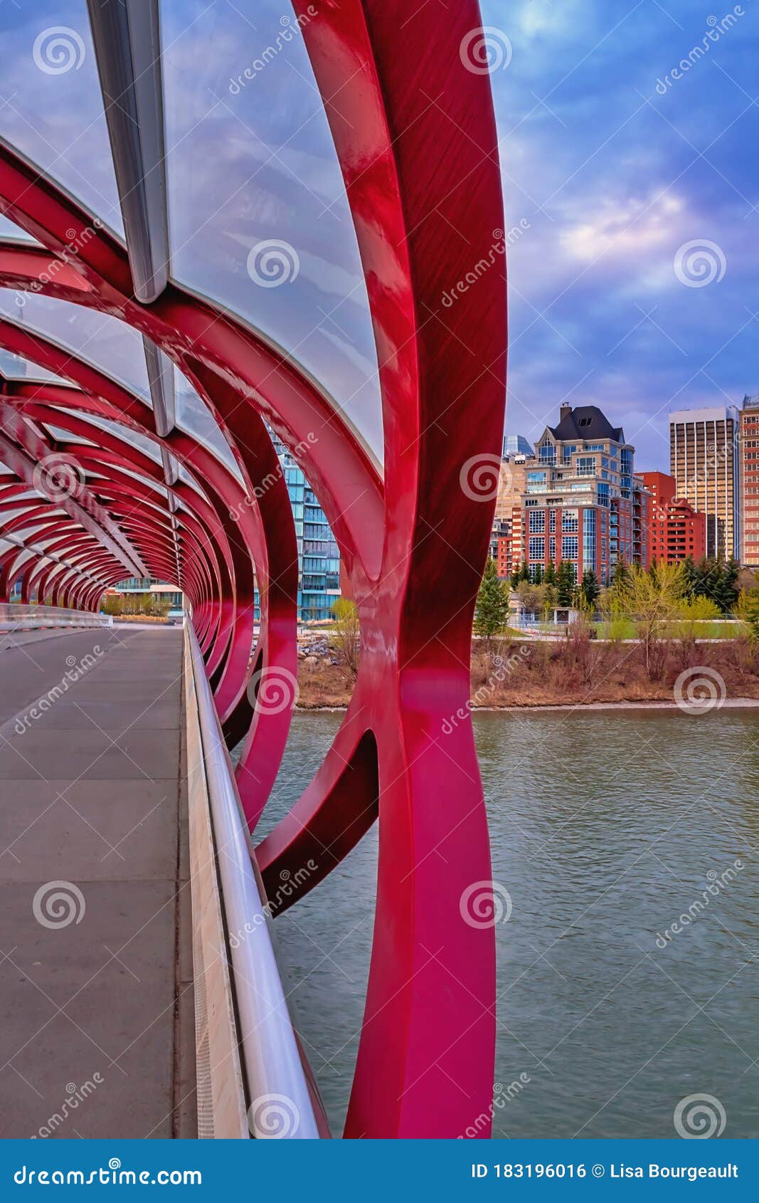 Peace Bridge Pathway Over the Bow River Editorial Photo - Image of ...