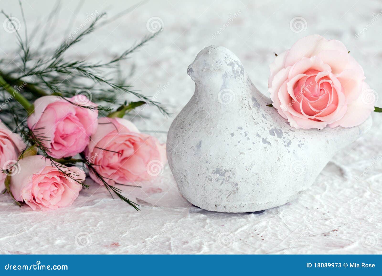 Peace Dove with Pink Roses stock image. Image of still - 18089973