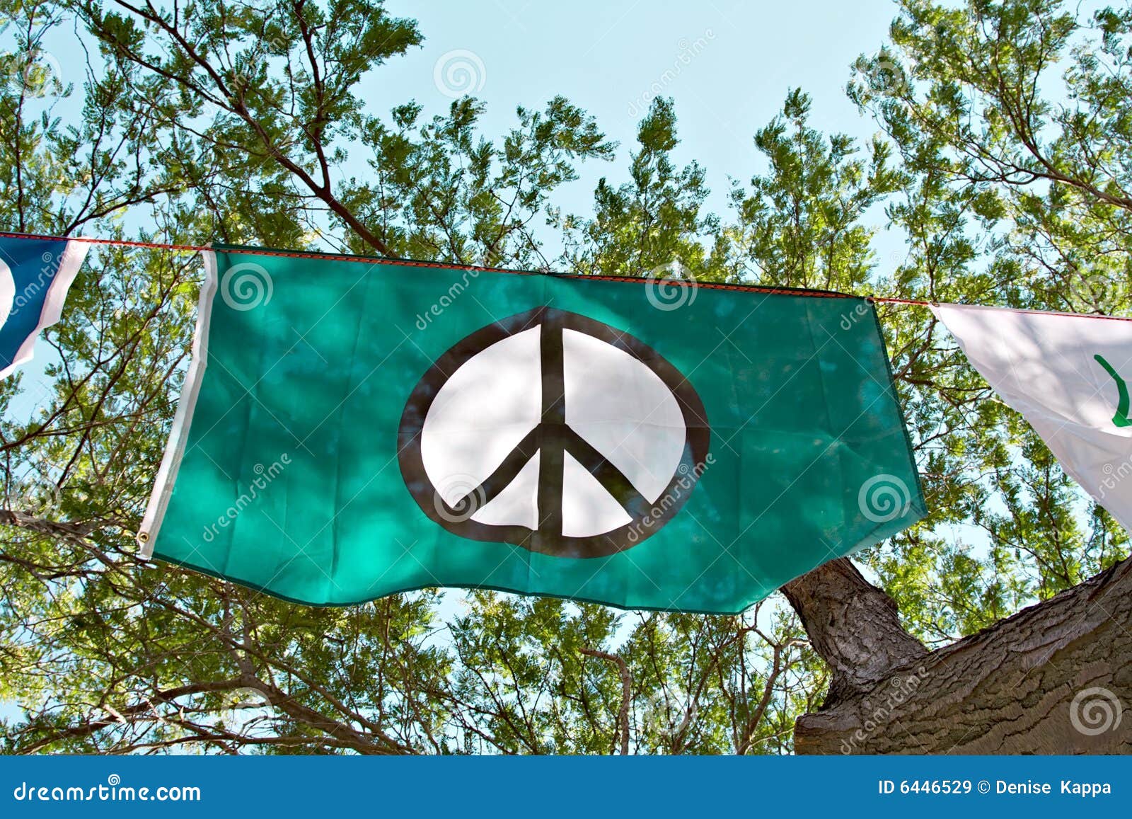 Peace Flag stock image. Image of flag, symbol, peace, rally - 6446529