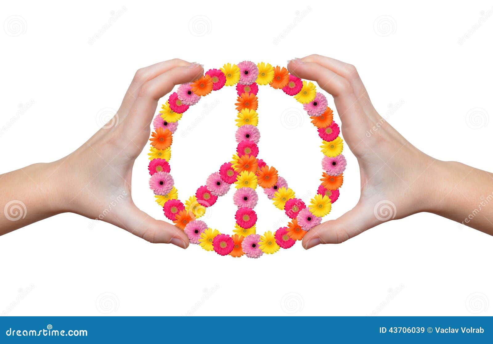 Peace flower symbol stock image. Image of happiness, shape - 43706039
