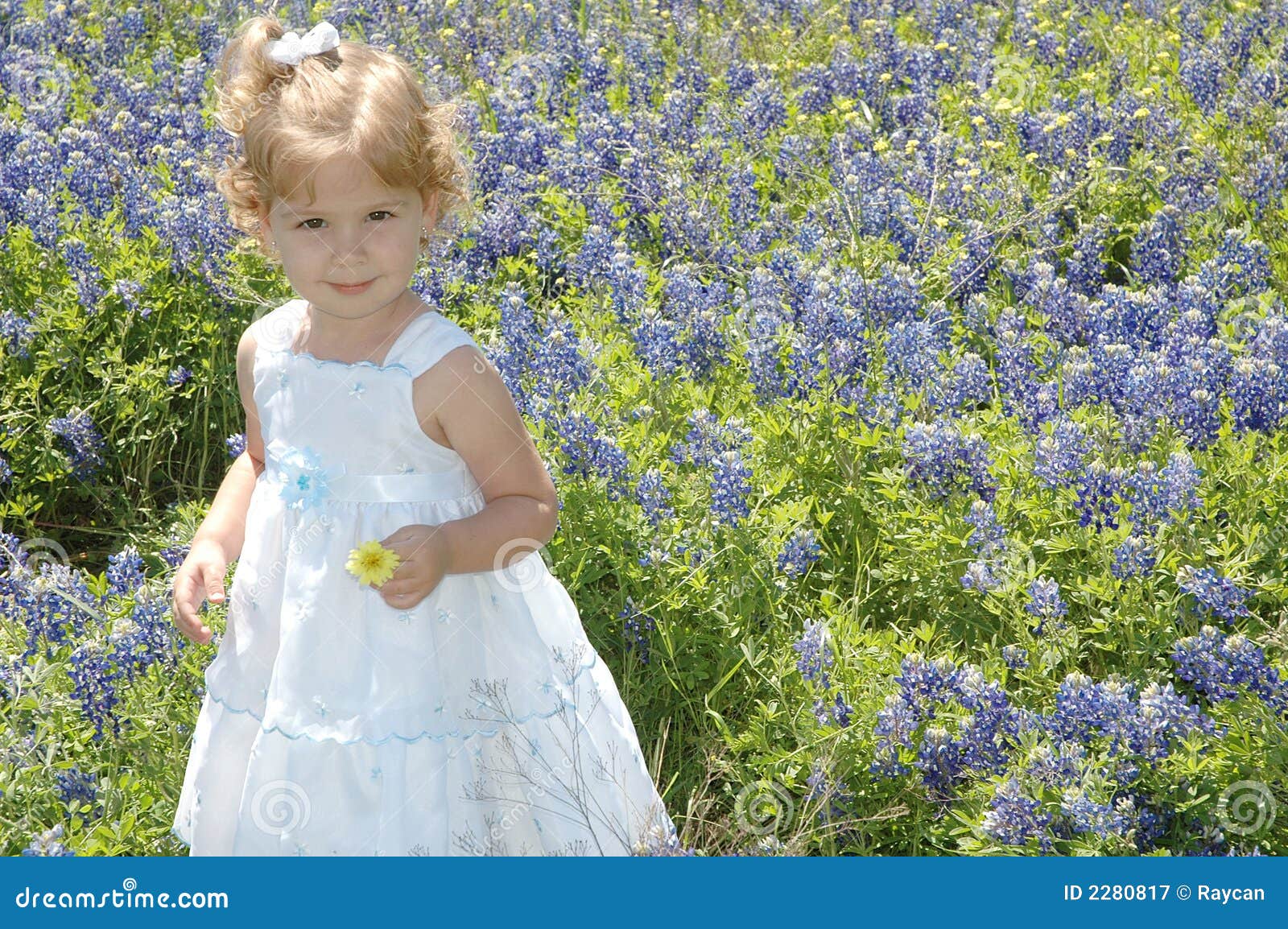 Peace of Life stock image. Image of grass, curious, flowers - 2280817