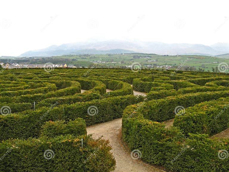 Peace Maze 01 stock image. Image of europe, northern, ireland - 6430341