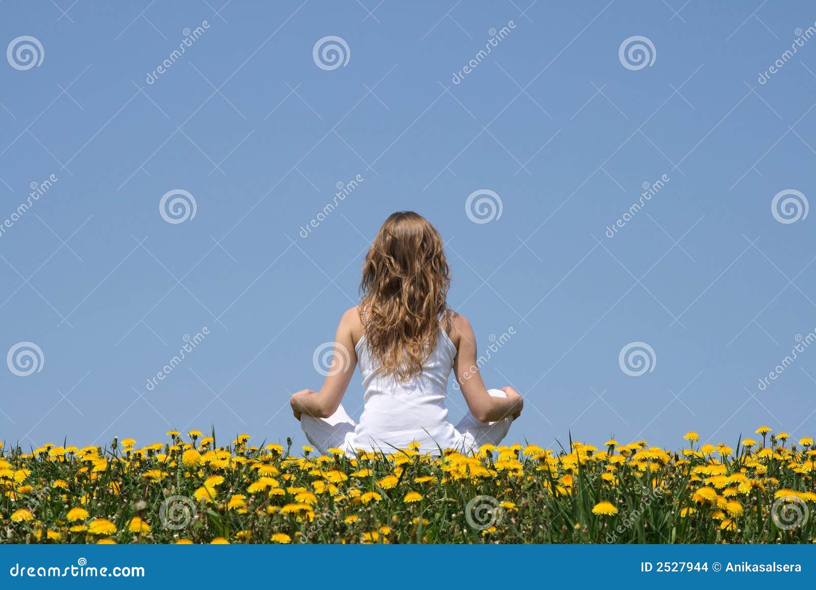 Peace Of Mind And Tranquility. Freshwater Fish. Active Day. Friends ...