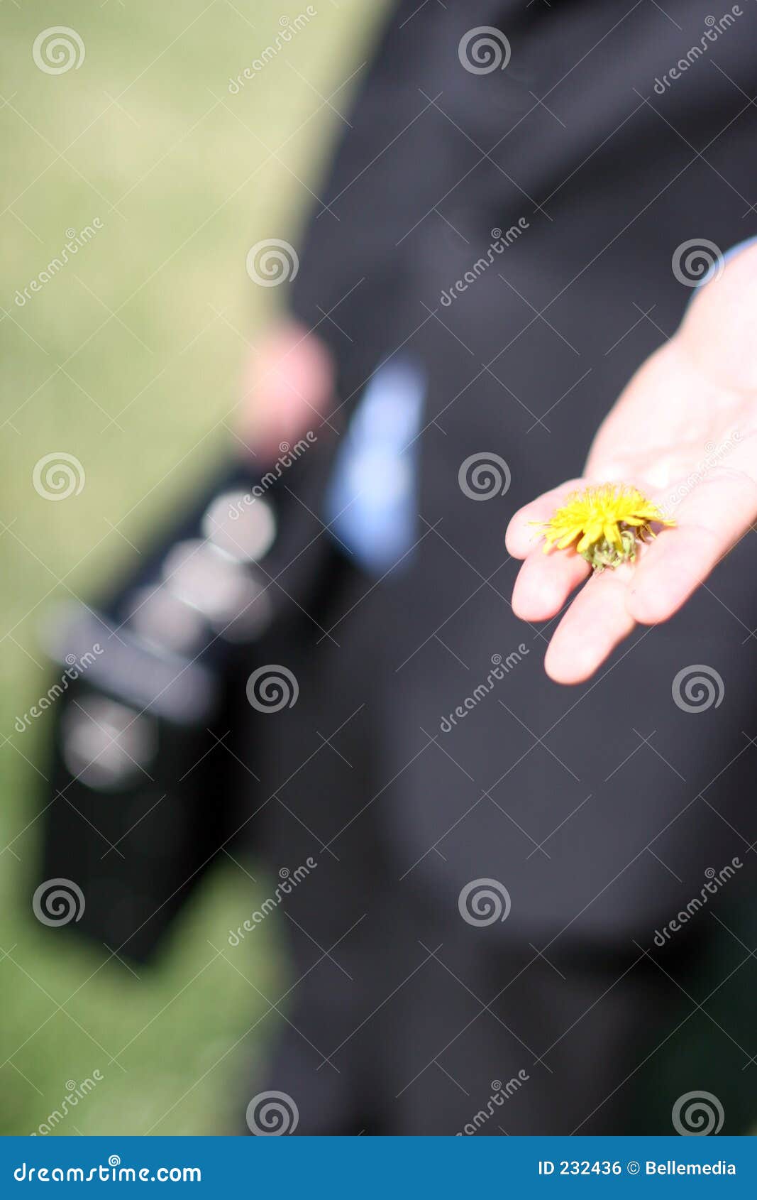 Peace Offering - Business Style Stock Photo - Image of give, briefcase ...