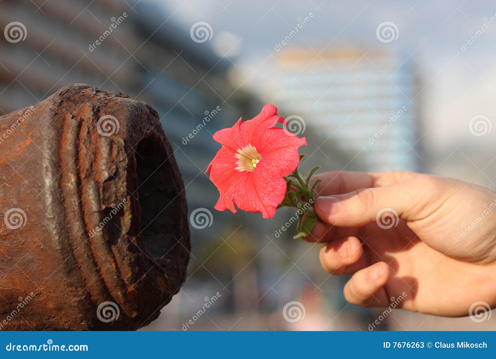 Peace, please stock image. Image of offering, truce, flower - 7676263