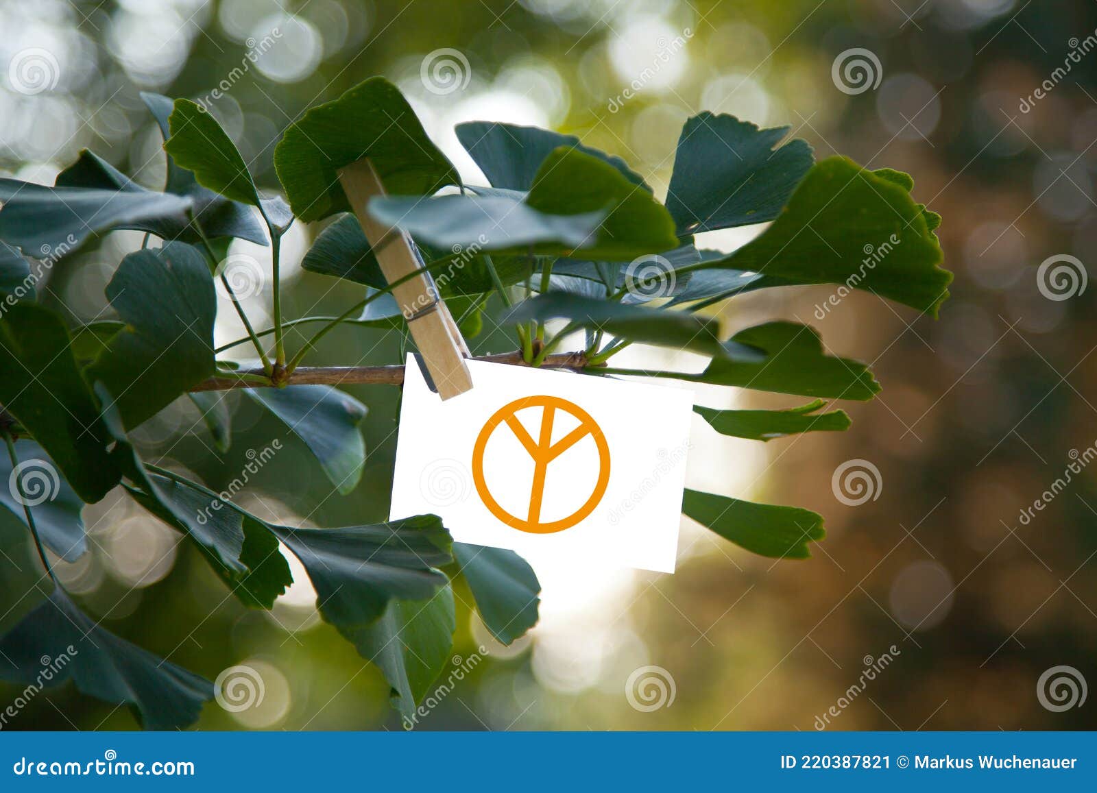 The Peace Sign stock image. Image of movement, prevention - 220387821