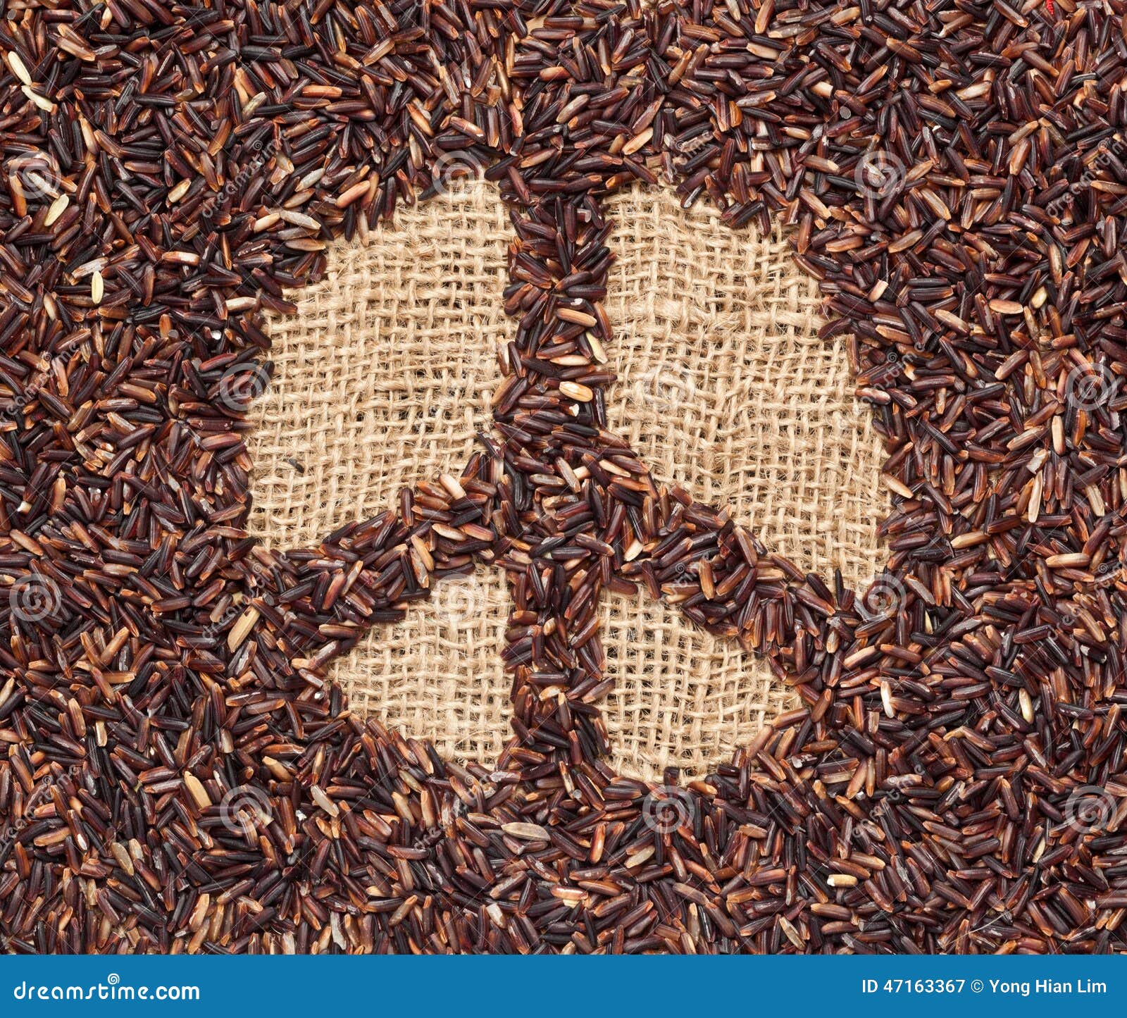 Peace sign stock image. Image of sign, pacifism, agriculture - 47163367