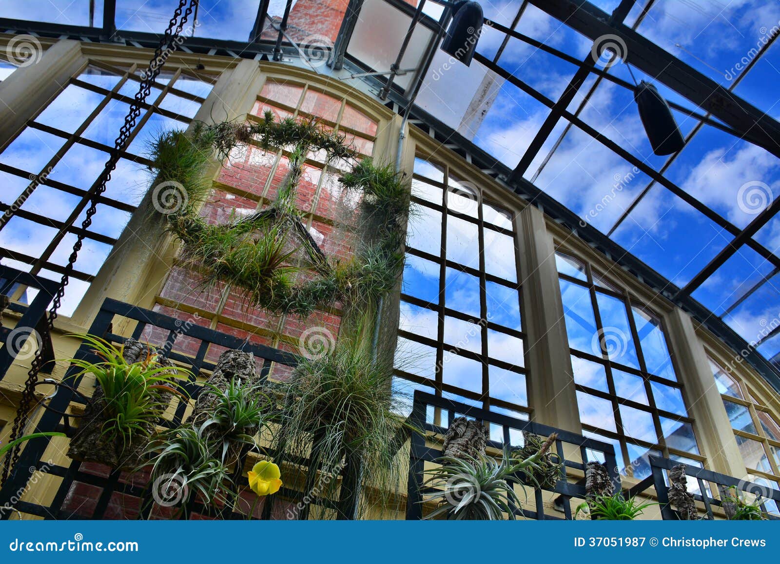 Peace Sign Wreath in Garden Stock Image - Image of blue, decoration ...