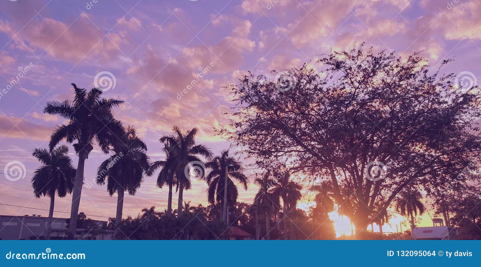 Peace in the sky stock photo. Image of trees, peace - 132095064