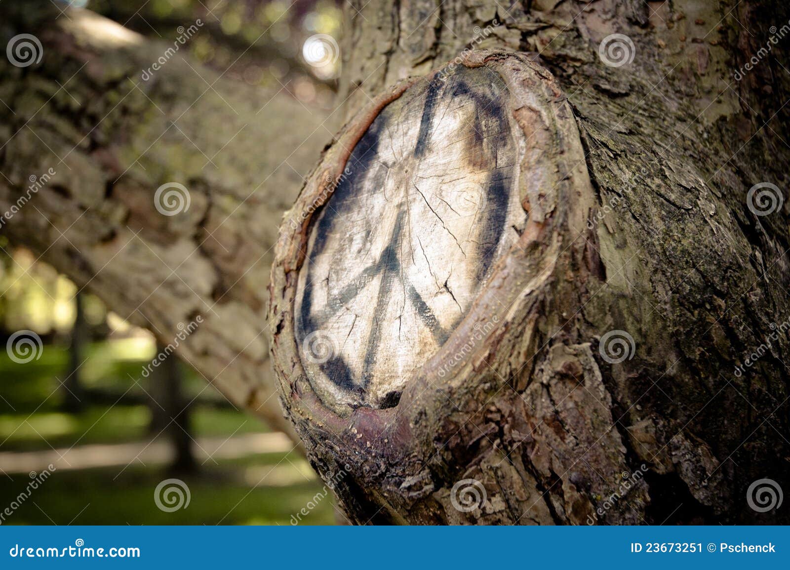 Peace Symbol on a Tree Where Branch Removed Stock Image - Image of ...