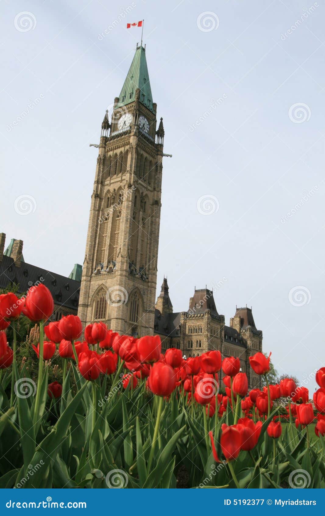 Peace Tower and Tulips stock image. Image of hill, ottawa - 5192377