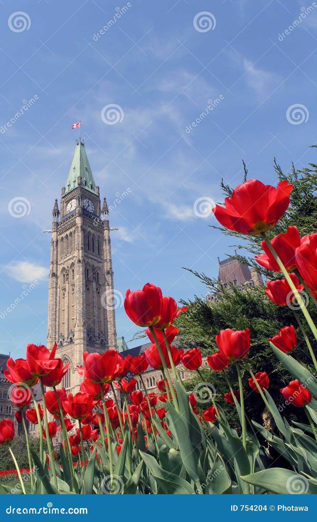 Peace Tower and Tulips in Ottawa Stock Photo - Image of angle, outdoors ...