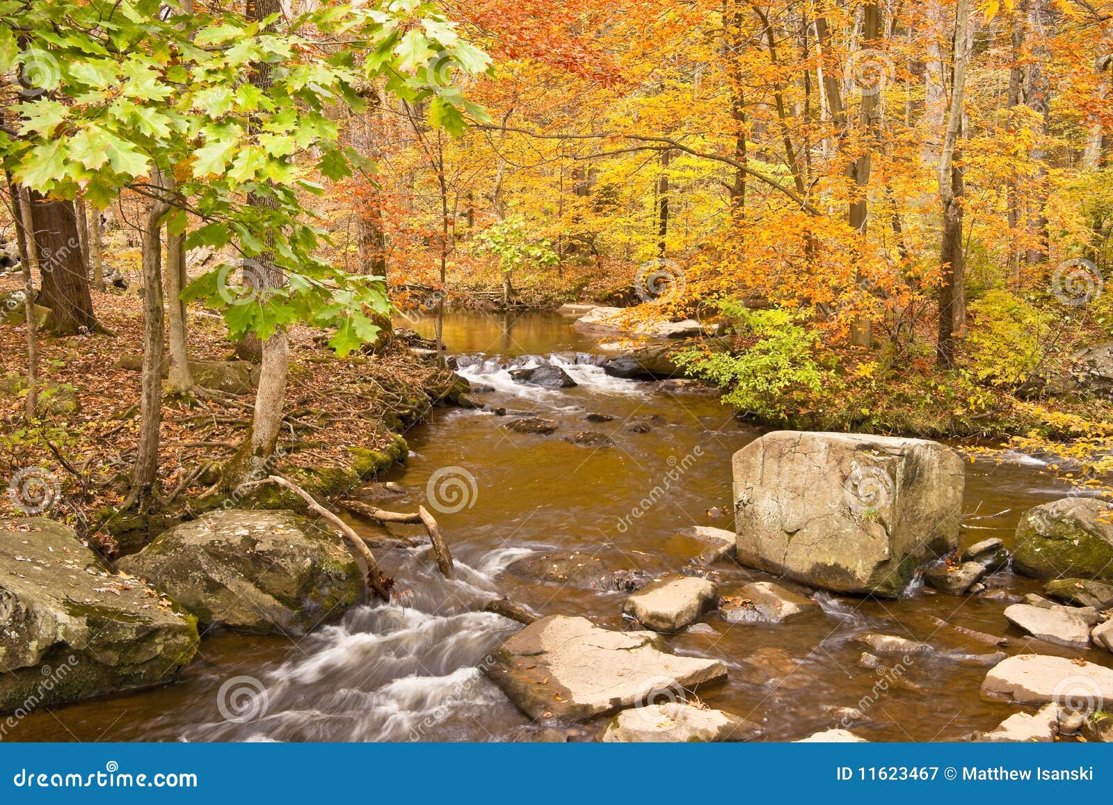 Peaceful stock image. Image of outdoors, calming, fall - 11623467