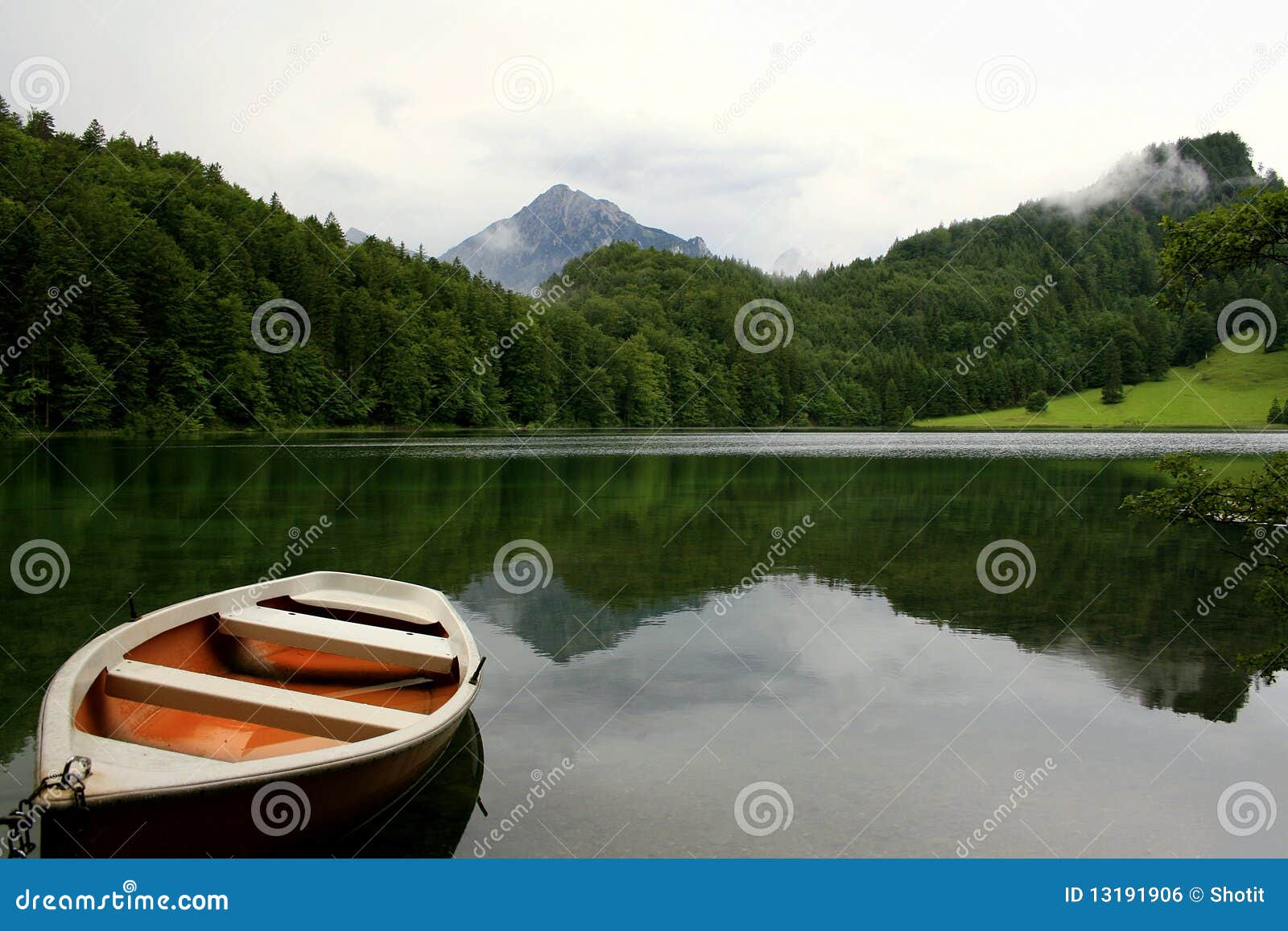 Peaceful stock photo. Image of trees, swimming, early - 13191906