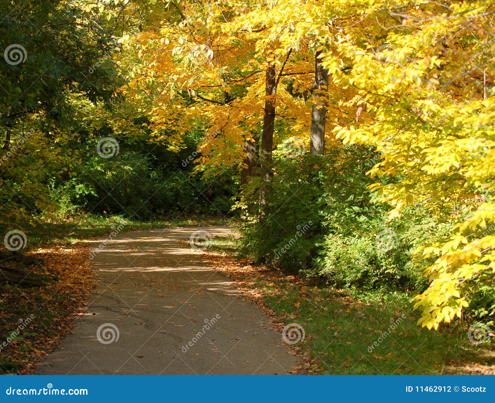 Peaceful autumn lane stock photo. Image of outing, leaves - 11462912