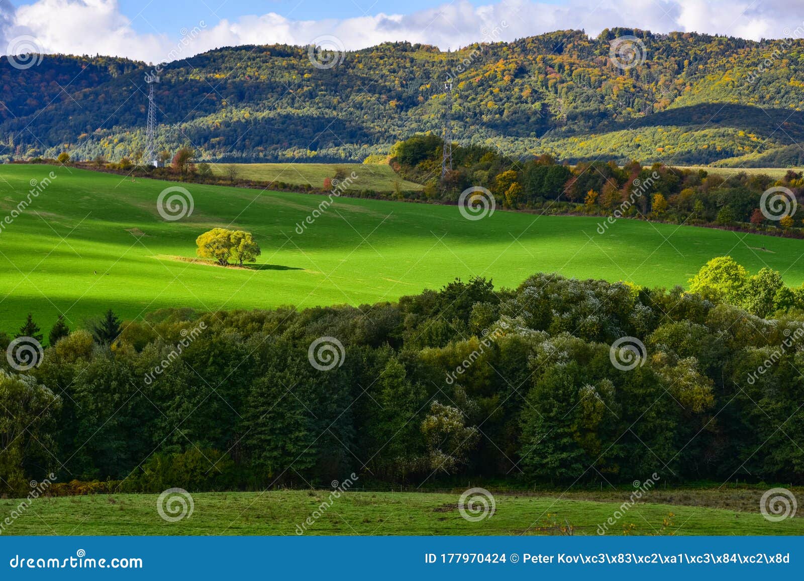 Peaceful Autumn Morning Scenery by Carpathian Forest Stock Photo ...