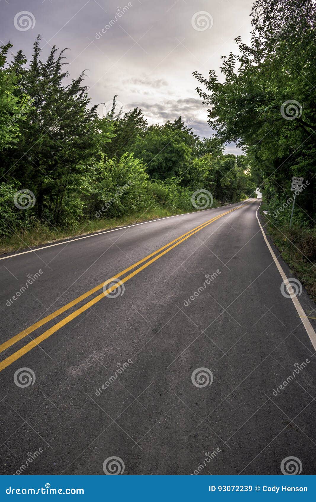 Peaceful Back Road stock image. Image of greenery, vanishing - 93072239