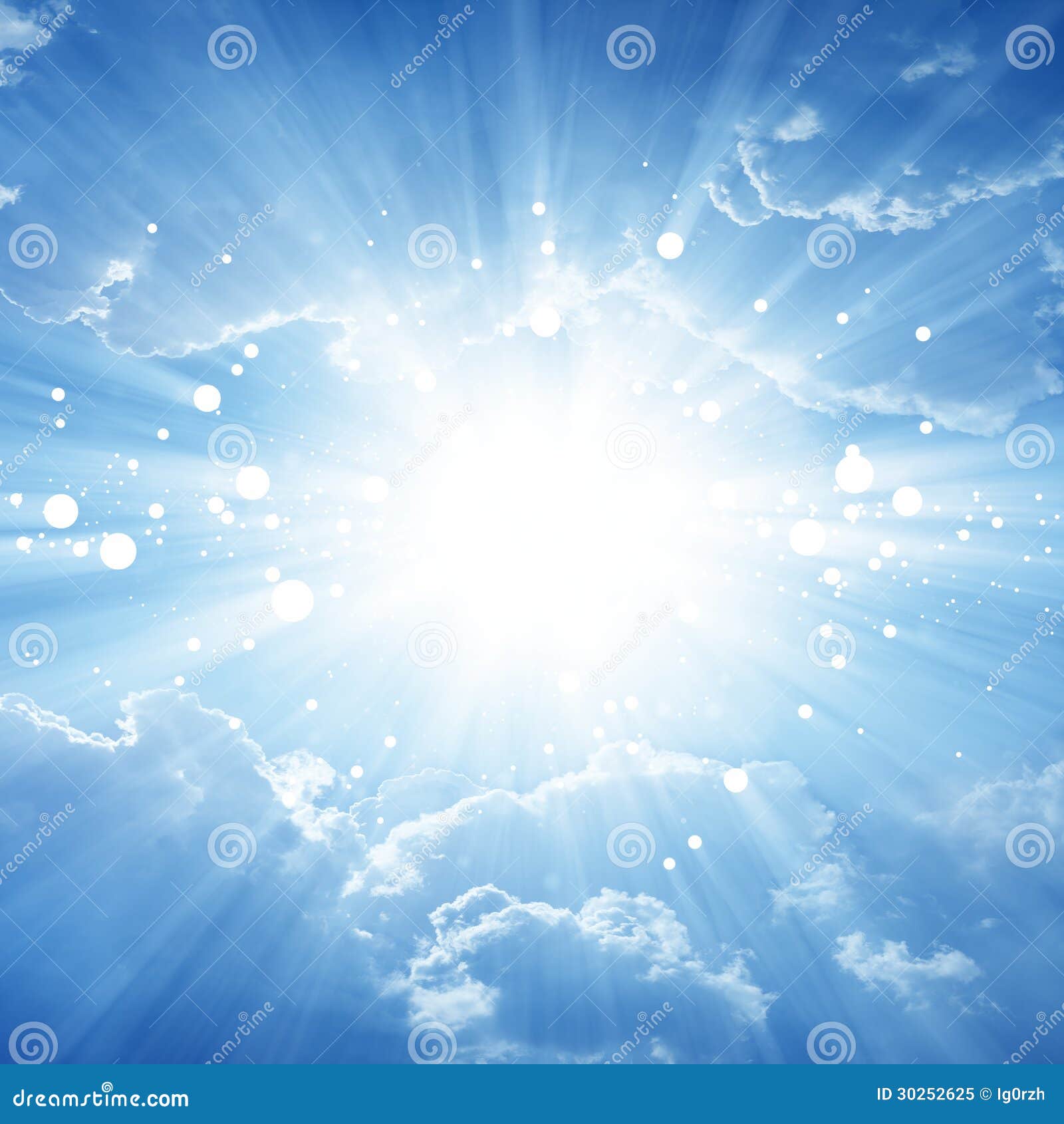 Peaceful Background Image Of Sun Shines Across Widow Trees ...