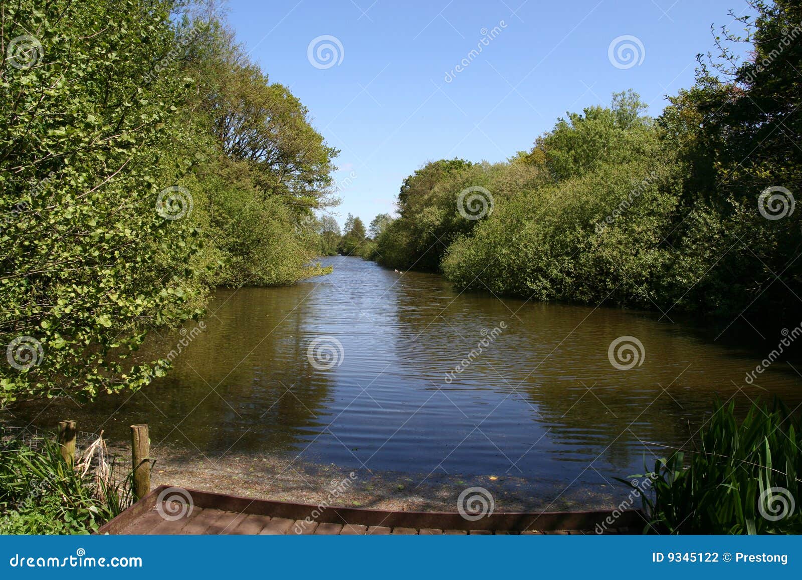 Peaceful Backwater. stock photo. Image of pond, lake, river - 9345122