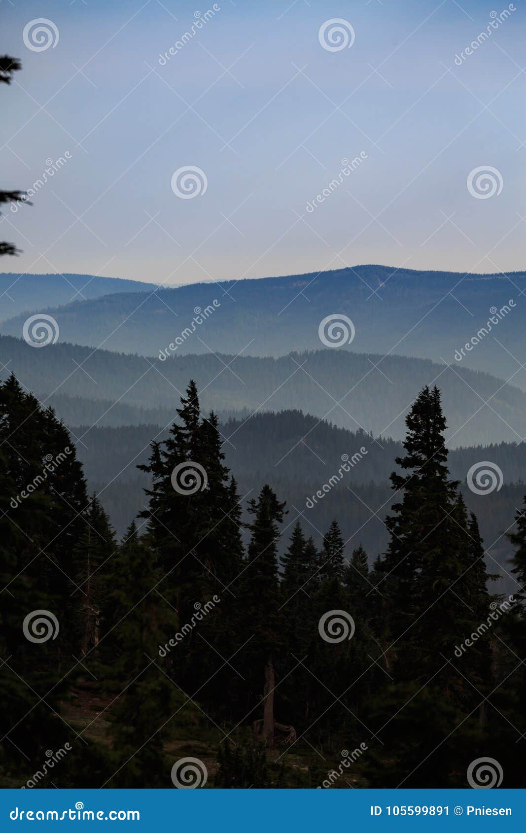 Peaceful, Beautiful View of Cascade Mountain Range Framed by Alpine ...