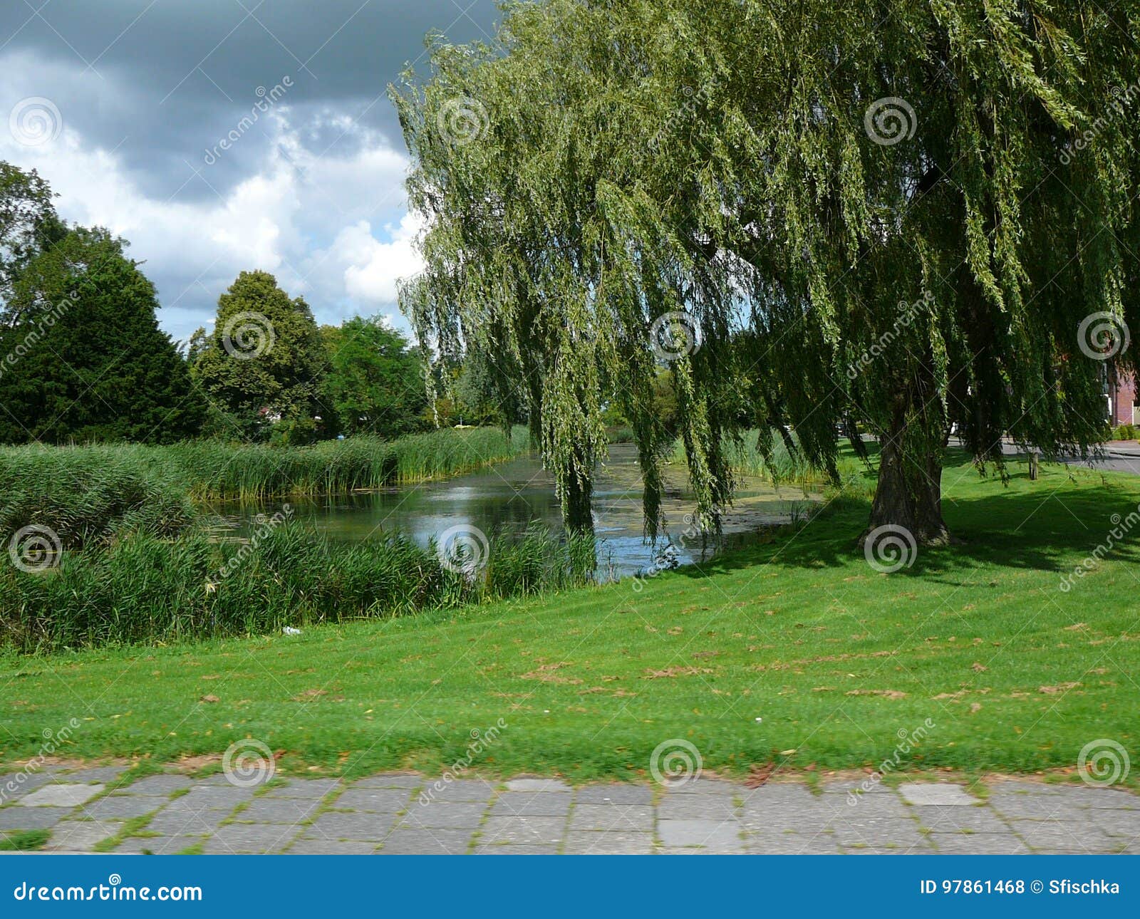 Peaceful corner of nature stock photo. Image of landscape - 97861468