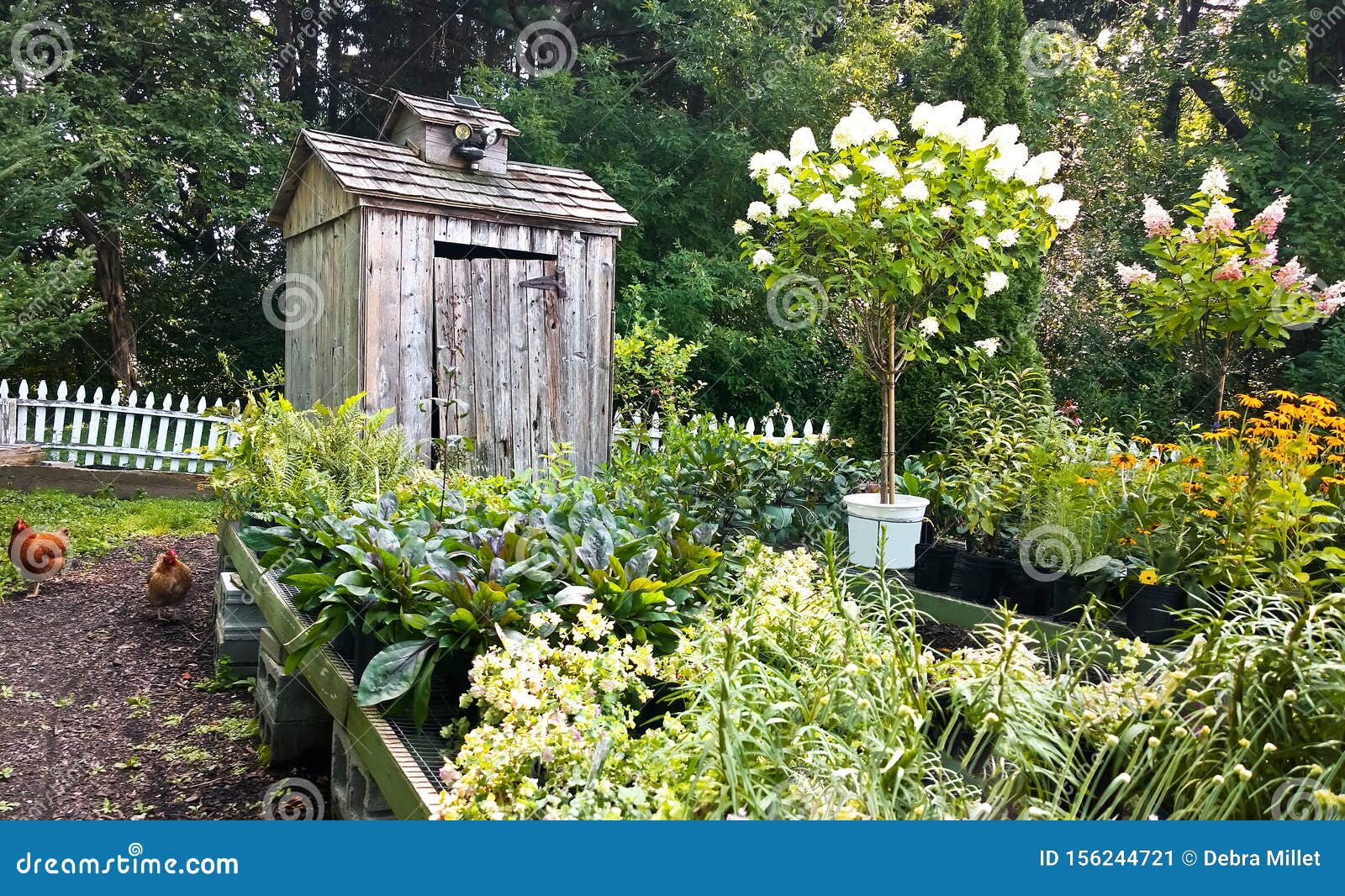 Peaceful country garden stock image. Image of countryside - 156244721