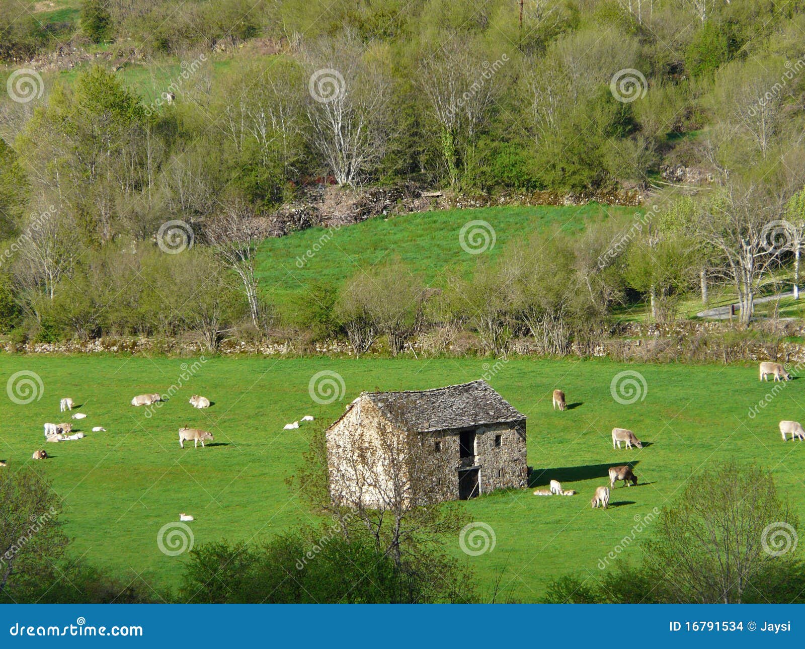 Peaceful country landscape stock photo. Image of grass - 16791534
