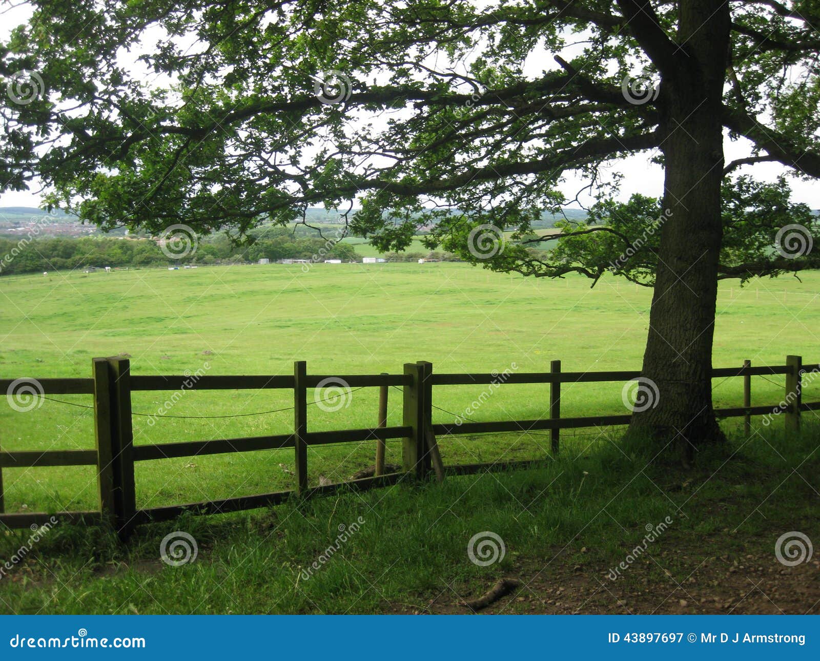Peaceful country scene stock image. Image of post, plain - 43897697