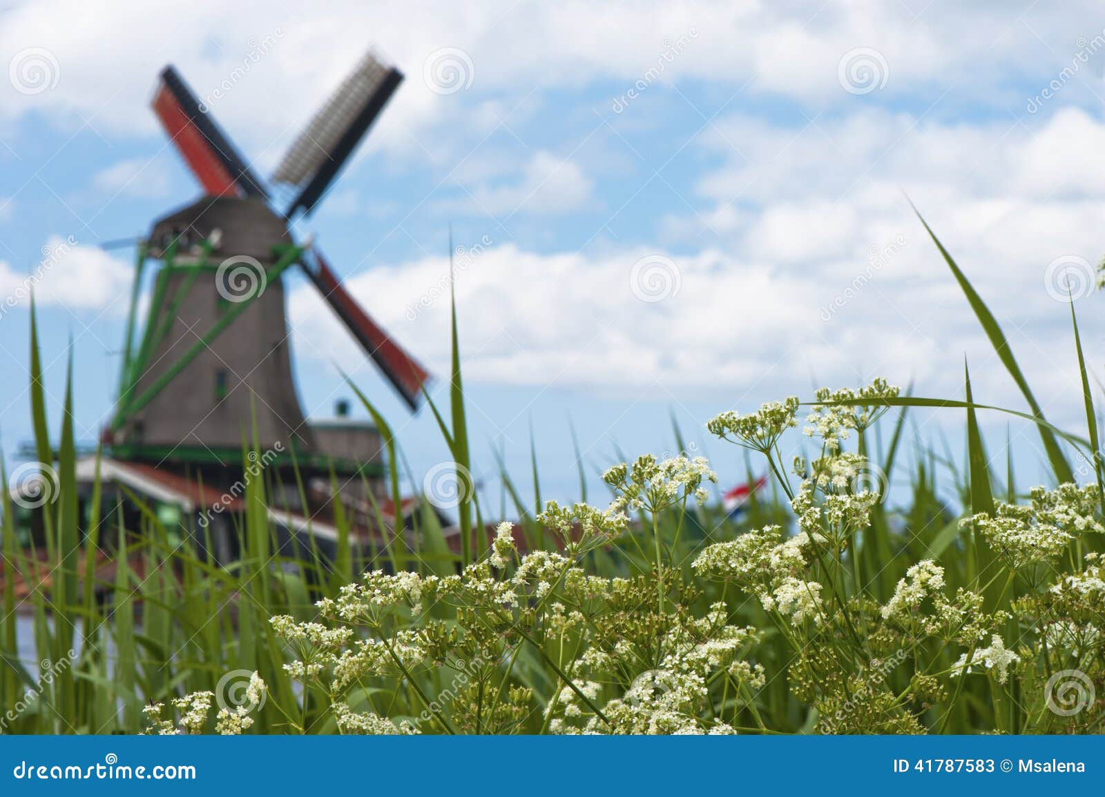 Peaceful Countryside stock image. Image of walk, wild - 41787583