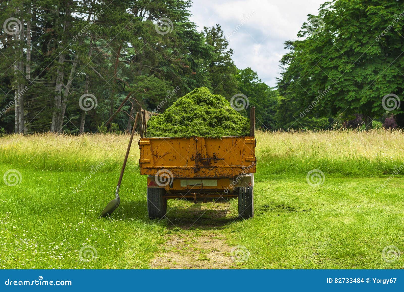 Peaceful countryside stock photo. Image of peaceful, work - 82733484