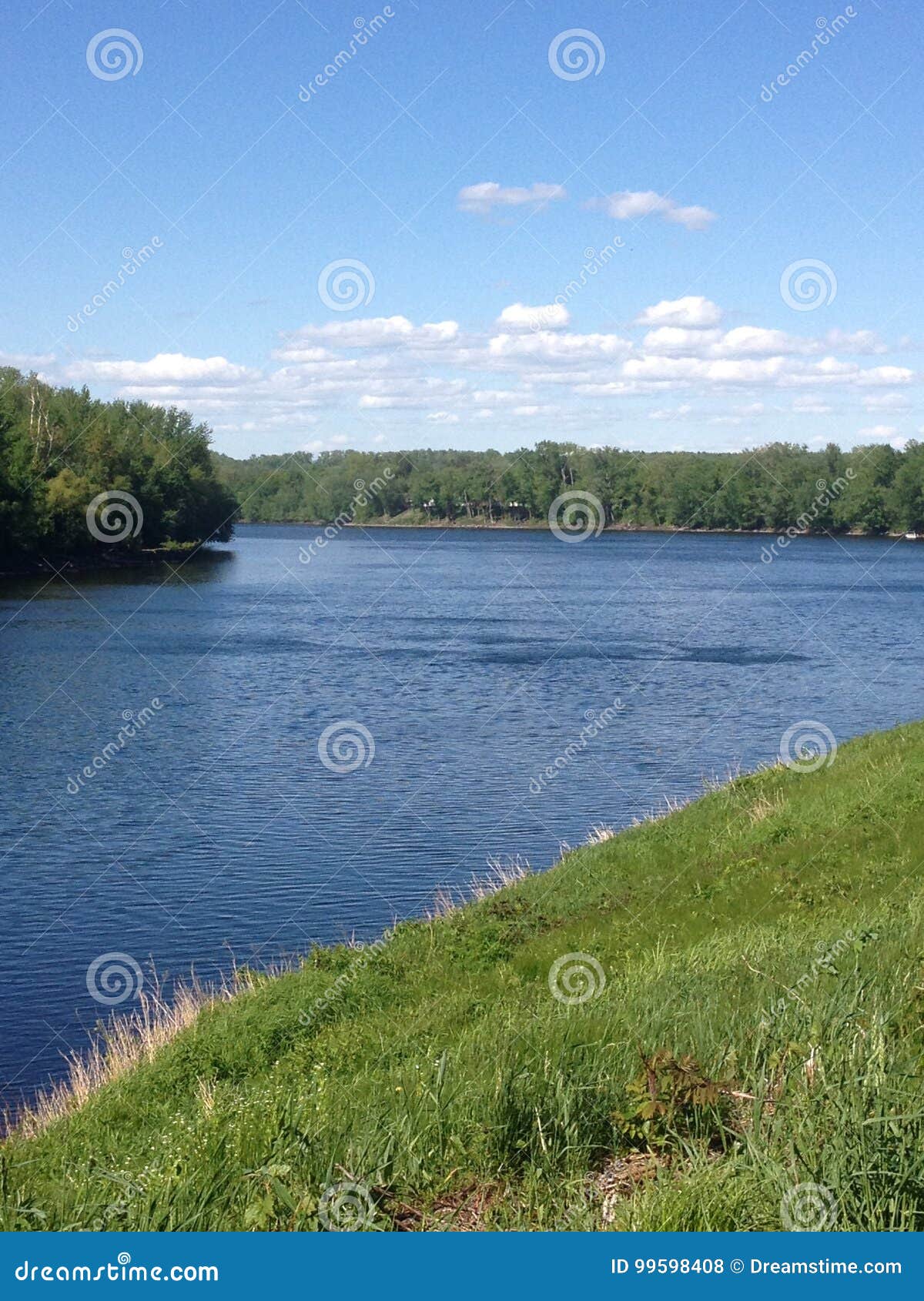 A peaceful day stock photo. Image of trees, peaceful - 99598408