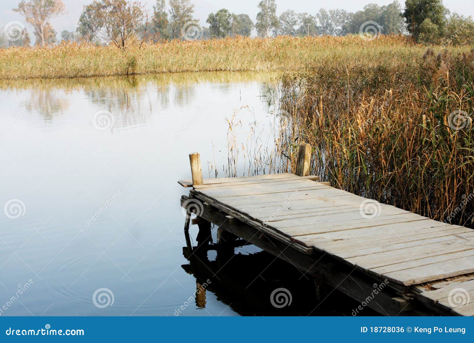 Peaceful dock stock photo. Image of landscape, park, town - 18728036