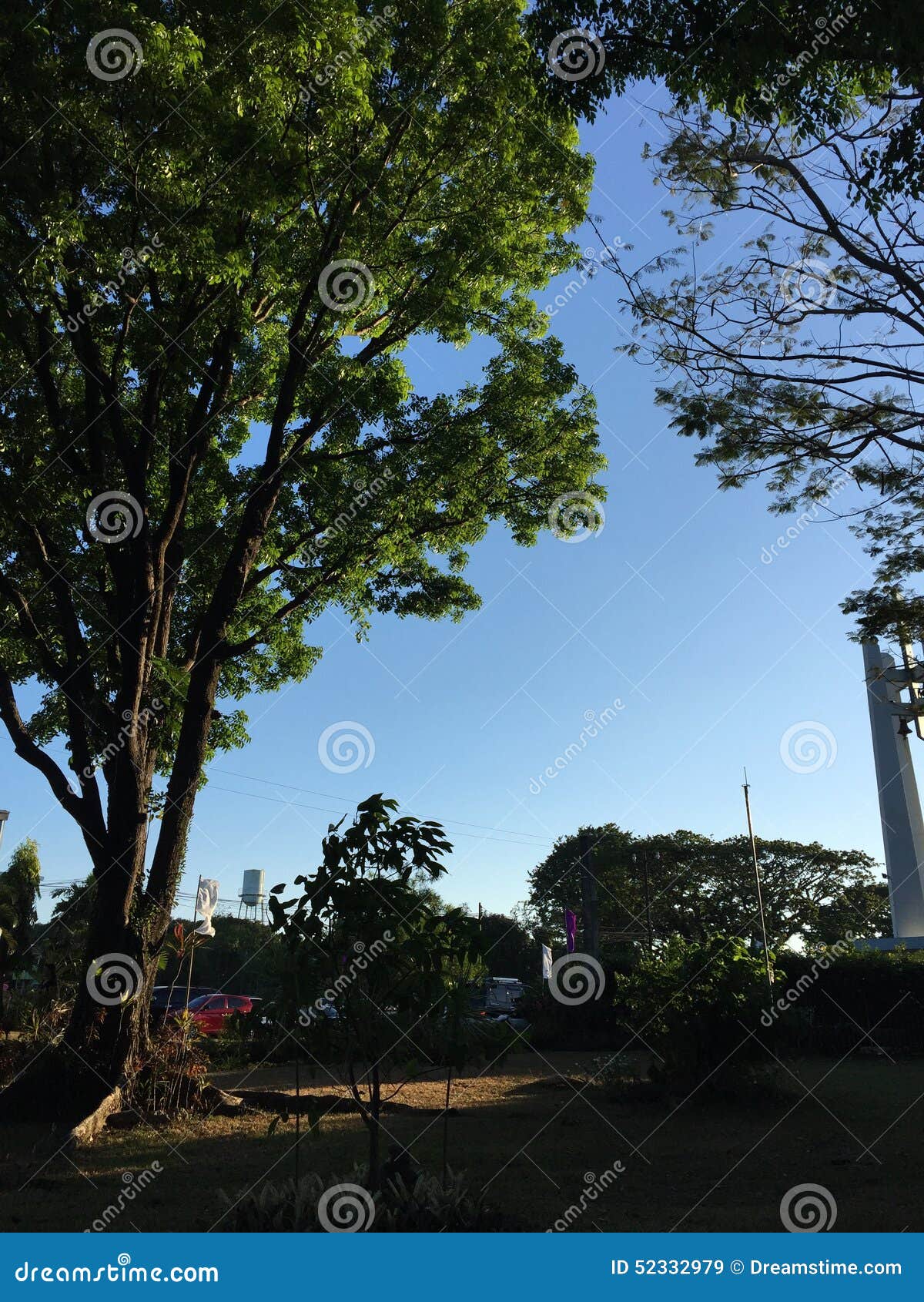 Peaceful Environment stock image. Image of green, view - 52332979