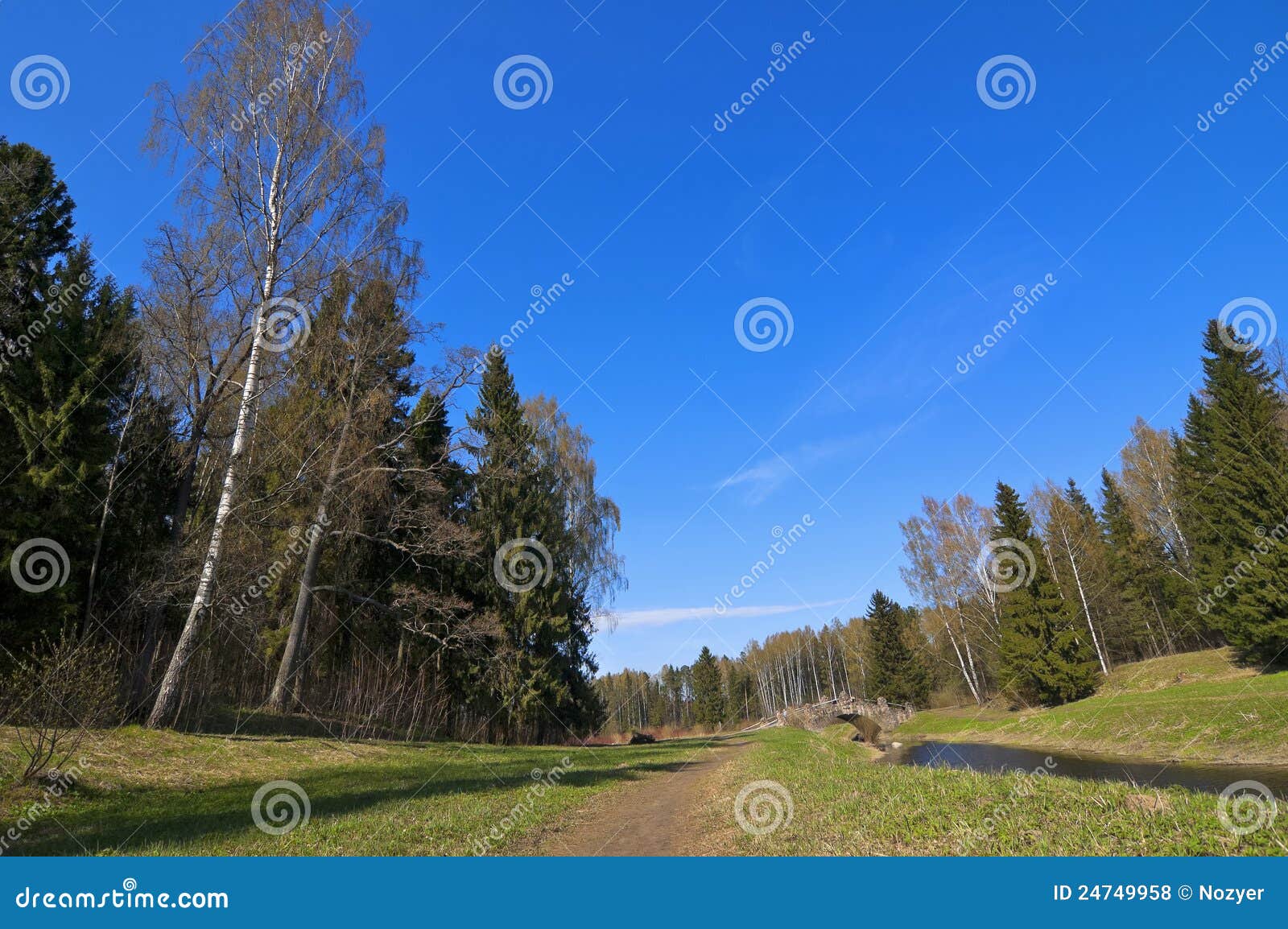 Peaceful European Spring Forest Landscape Stock Photo - Image of color ...